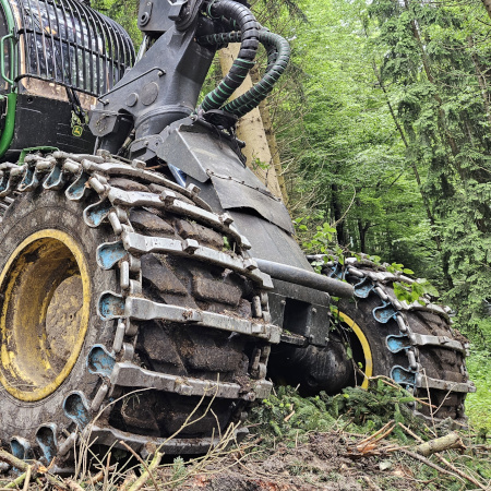 Alliance do prac leśnych